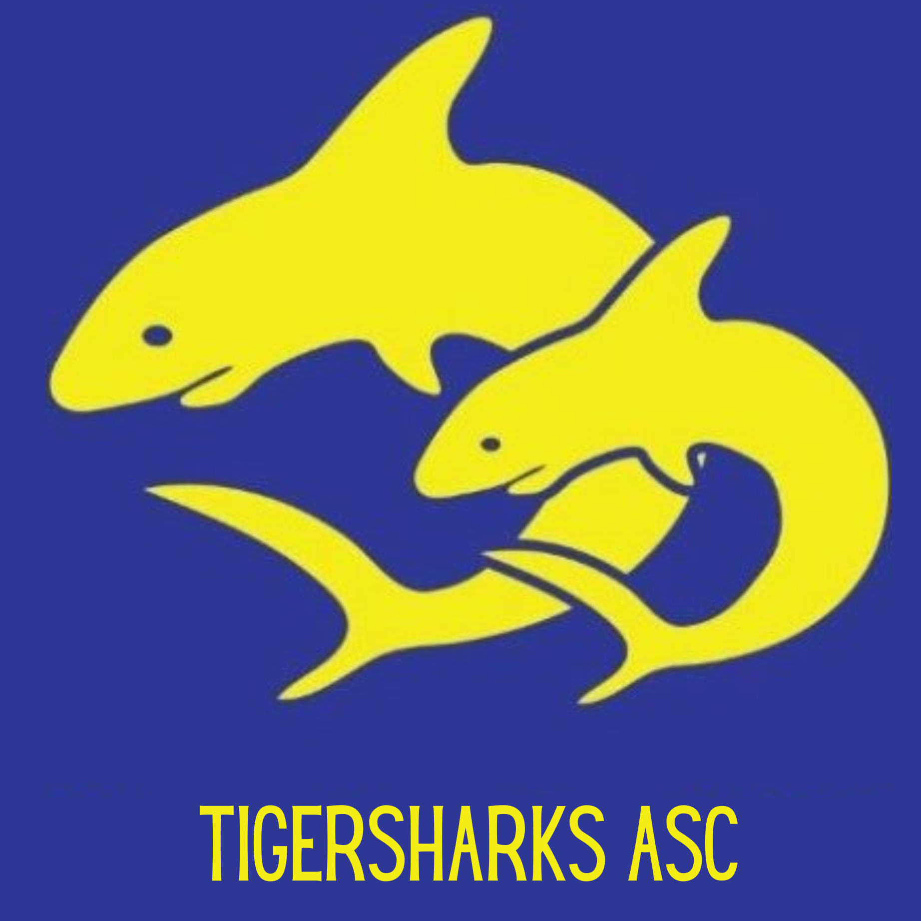 Tigersharks Home Page